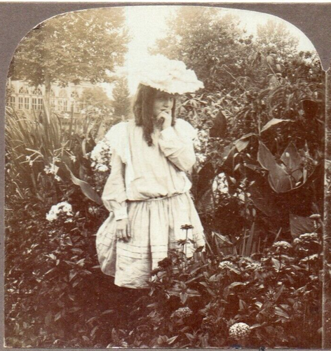 1903 Innocent Beauty. William Rau Stereoview Photo | eBay