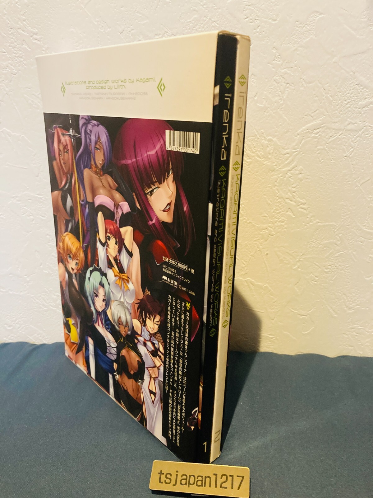 IRENKA KAGAMI Visual Works TAIMANIN KANGOKUSENKAN Art Book 2013 Used ...