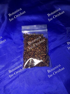 PIMIENTA DE GUINEA (ATAARE) religion yoruba ifa orula africa orunmila ...