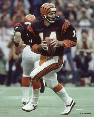 KEN ANDERSON 1981 CINCINNATI BENGALS 8X10 PHOTO | eBay