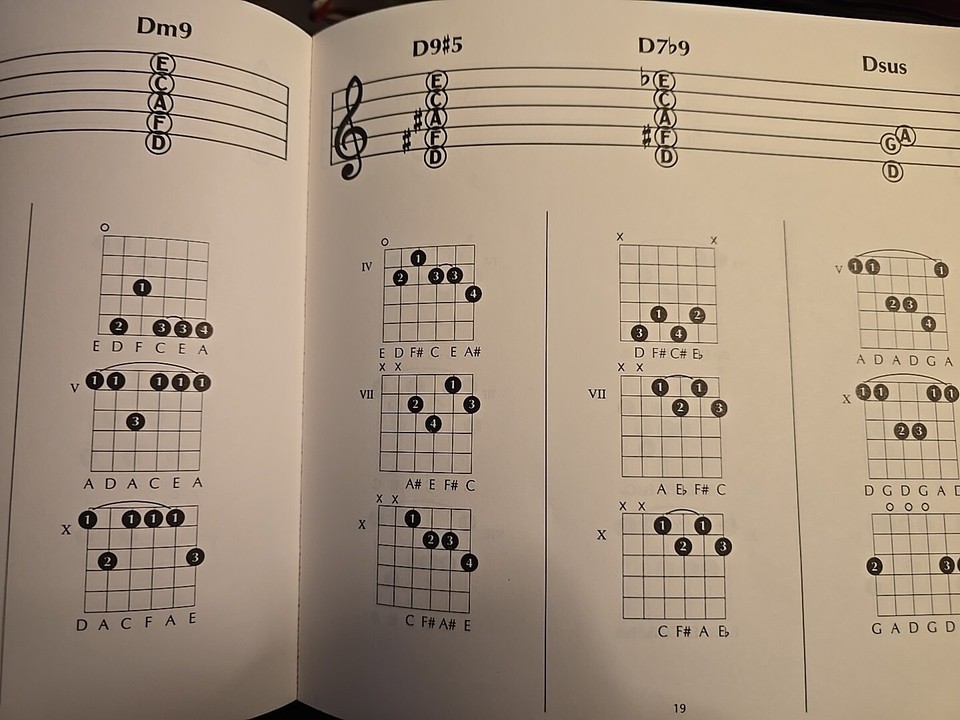 Play Guitar Chords Without Fretting P La Cerra 400 Easy to Read Chord ...
