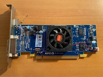 AMD Radeon HD 6350 Dual Monitor Display DMS59 VGA DVI Graphics Full ...