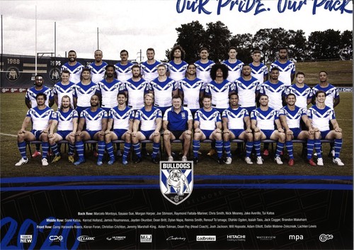 Canterbury bulldogs team player poster NRL rugby,books,COWBOYS,panthers ...