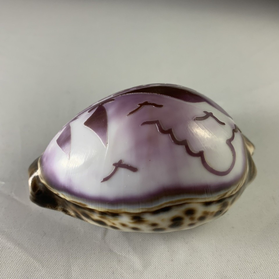 Vtg Carved Cowrie Cowry Shell Florida Souvenir Seascape Seagulls Beach ...