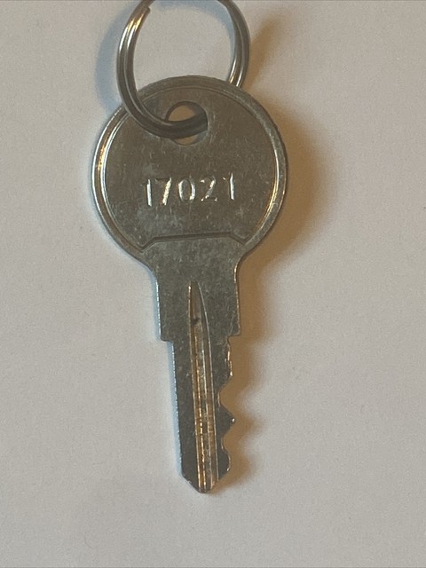 NOTIFIER 17021 Key and Cam Lock From Afp100 Fire Alarm Panel for sale ...