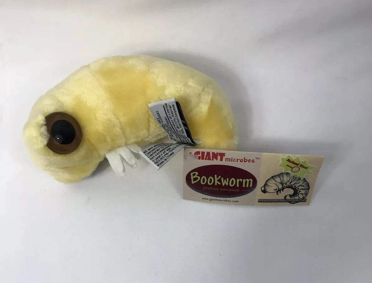 Actual Bookworm