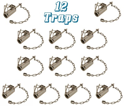 Duke Dog Proof Raccoon Trap - DP Traps - Great for Nuisance Coons - 12 ...