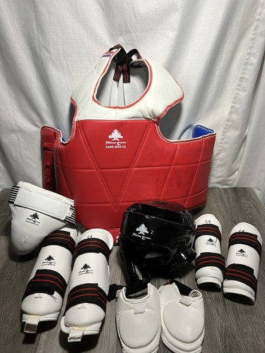 Kids Taekwondo Sparring Gear set including Bag Medium | eBay