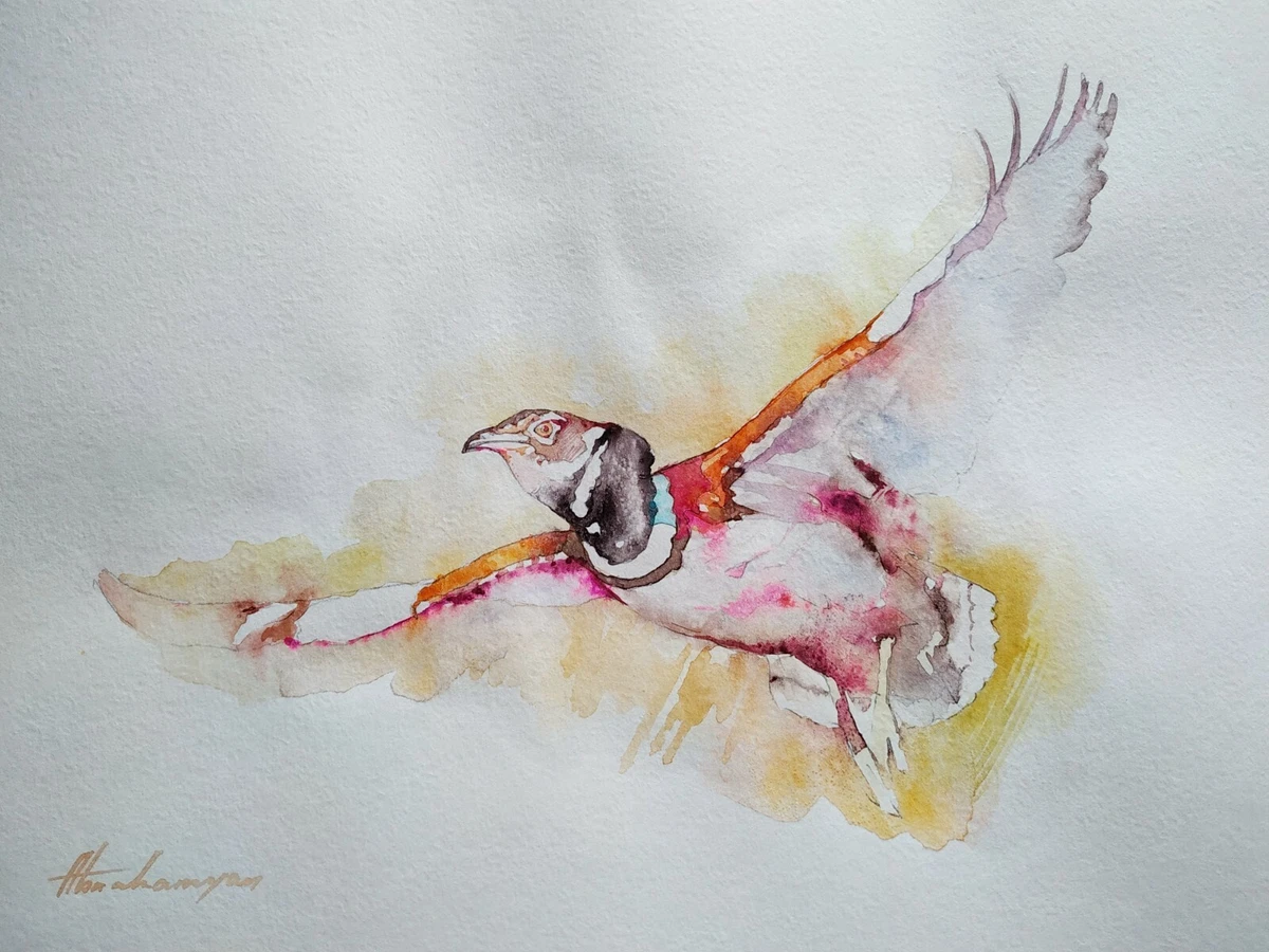Watercolor Birds In Flight