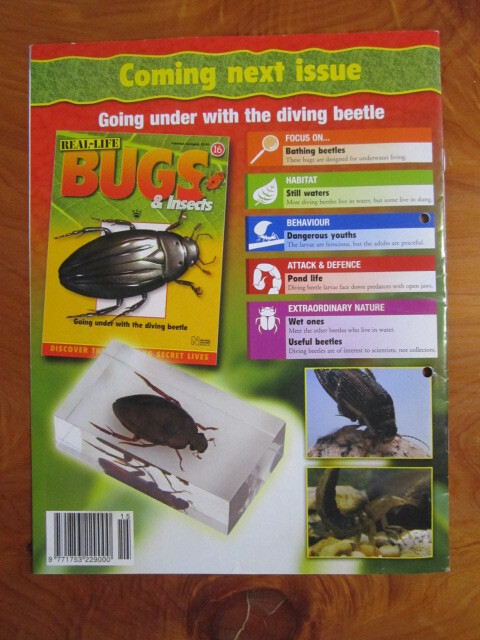 MAGAZINE REAL-LIFE BUGS & INSECTS NUMBER 15 GREAT **** MUST SEE | eBay UK