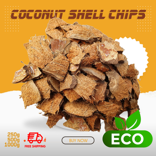 100% Natural Pure Ceylon Eco Friendly Coconut Shell Chips -Sri Lanka | eBay