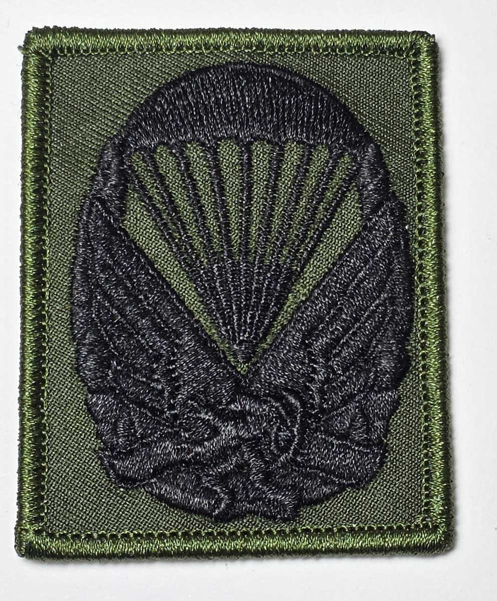 Fallschirmspringerabzeichen Tschechei Czech Army Jump Wings ...