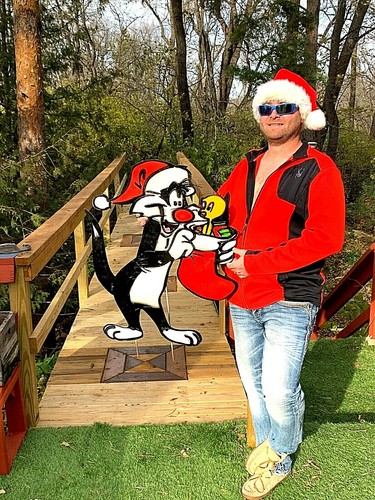 36 in. Metal Sylvester and Tweety Christmas Decor sign yard stake ...