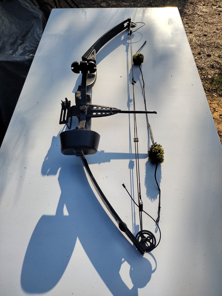 Rambo hoyt Spectra bow first blood part 2 & 3 | eBay