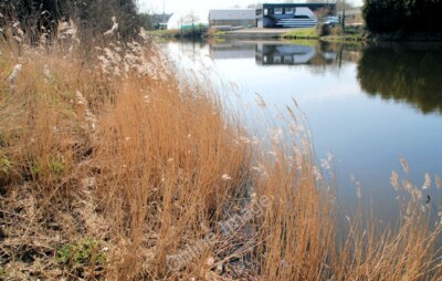 Photo 6x4 The River Lagan at Annadale, Belfast (2) Stranmillis See ...