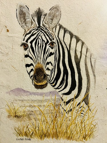 Signed Dutch Original Oil Painting Wildlife Zebra Portrait On ...