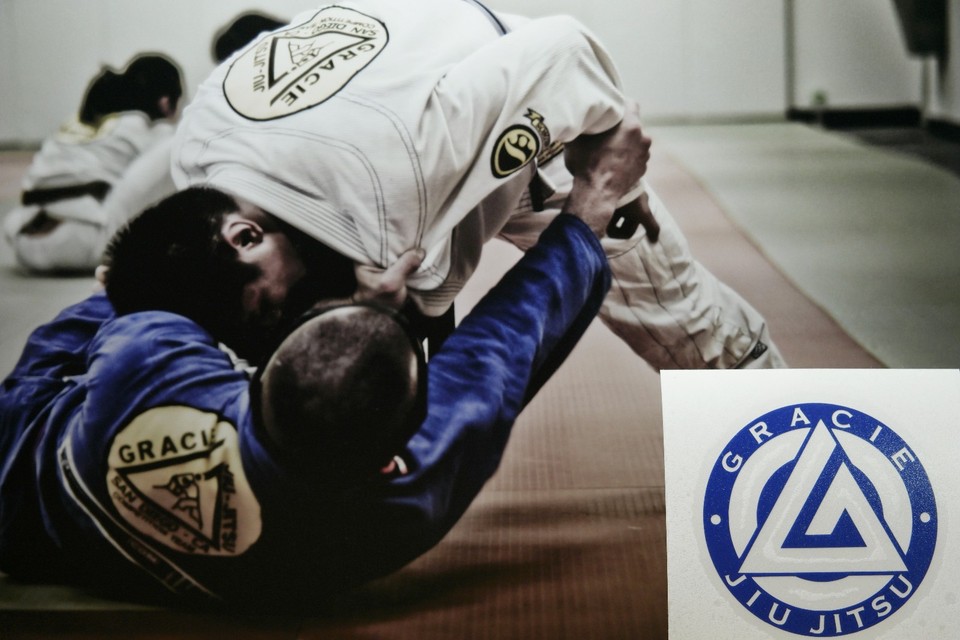 Brazilian Gracie Jiu-Jitsu 5x5 Vinyl Decal Stickers for Auto, Car ...