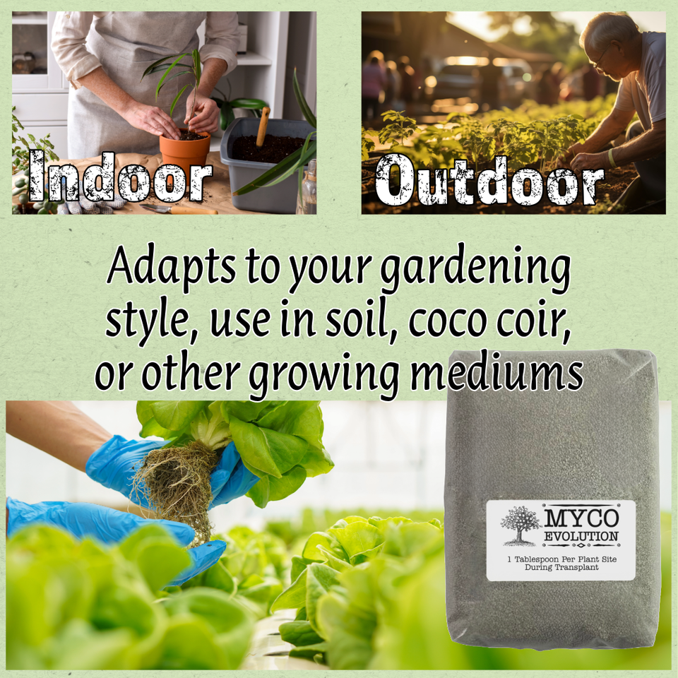 Myco Evolution 5 Lbs Mycorrhizae Root Fungi Granular Mycorrhizal 134 ...