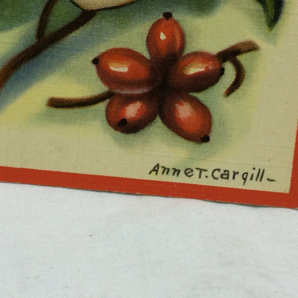 Vintage Postcard Annet Cargill Floral Dogwood Motif Scene | eBay