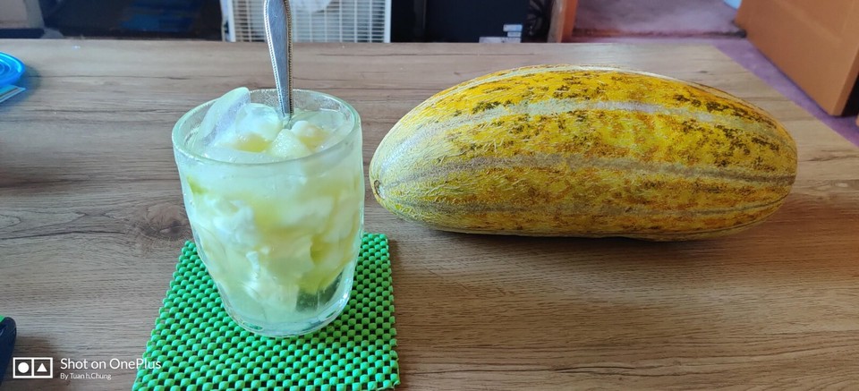 40+ fragrant Musk Melon Seeds / Dưa Gang . US Seller | eBay