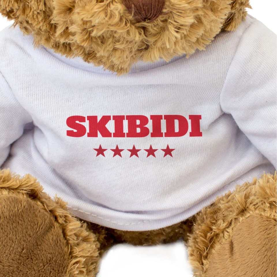 SKIBIDI - Teddy Bear - Cute Cuddly - Gen Z Gen Alpha Slang Funny Gift ...