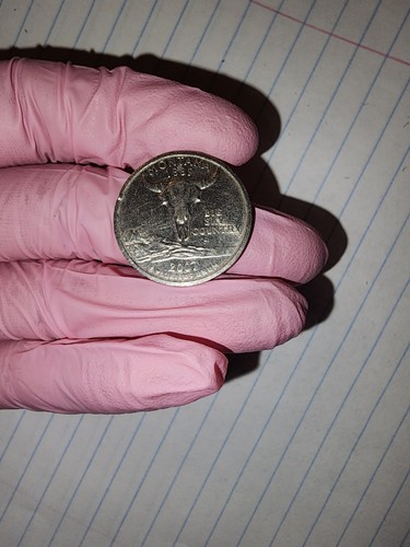 Beautiful 2007 Montana State QUARTER W/doubling Error, SMOOTH RIM | eBay