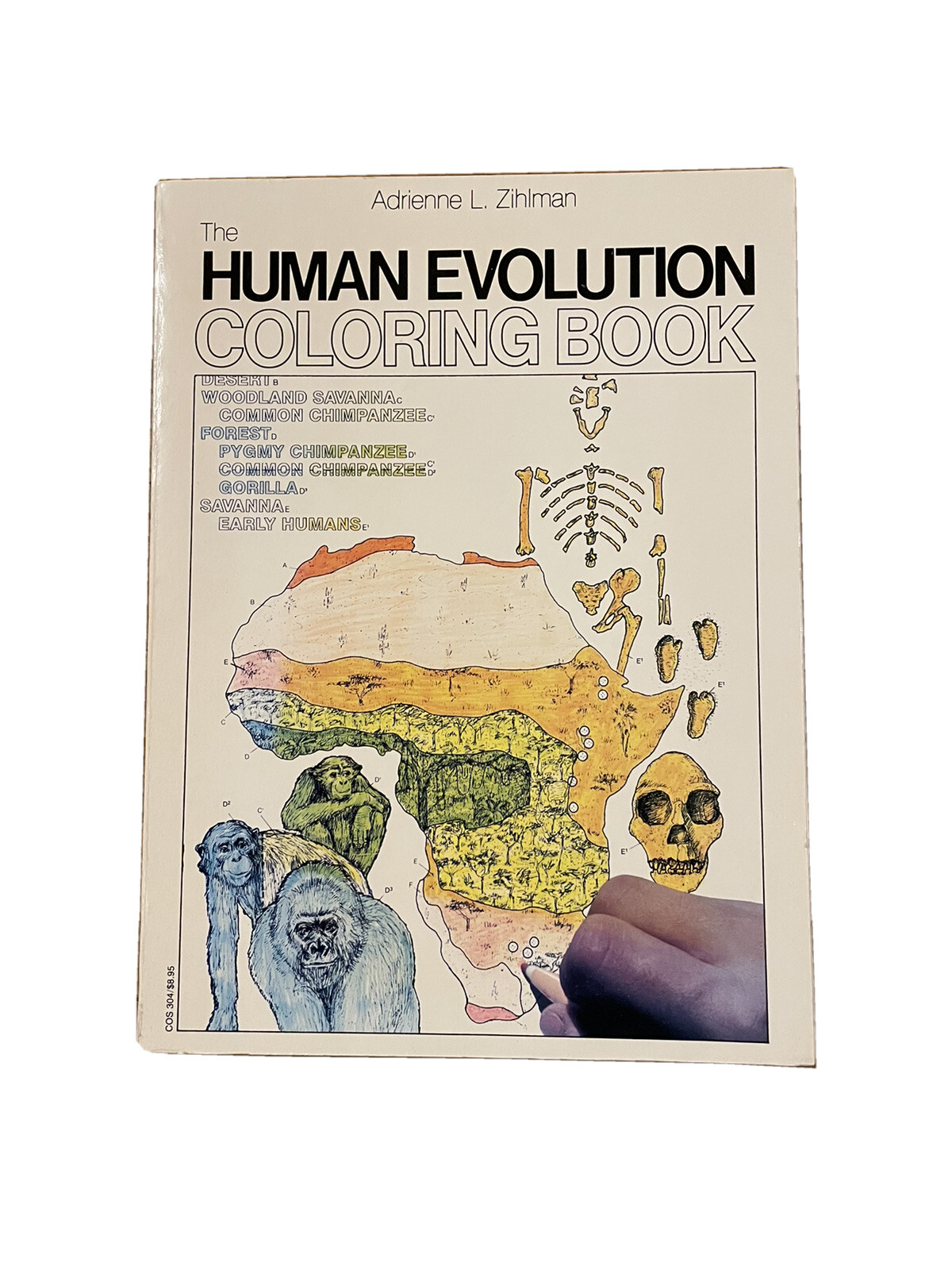 The Human Evolution Coloring Book First Edition Vtg 1982 Adrienne L ...