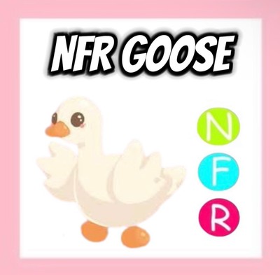 NFR Neon Fly Ride Goose | Adopt Your Pet From Me | FAST DELIVERY 📦 ...