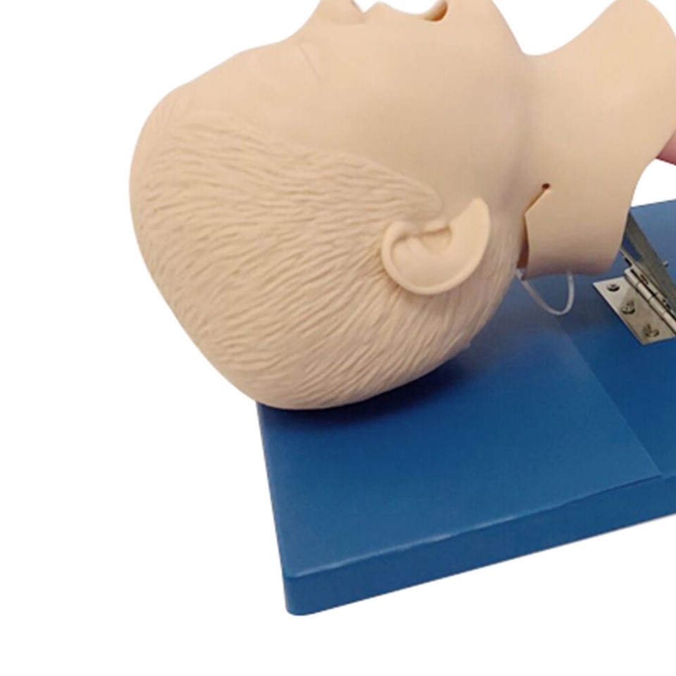 Airway Management Trainer ET/J16 Intubation Head Manikin Lab Training ...