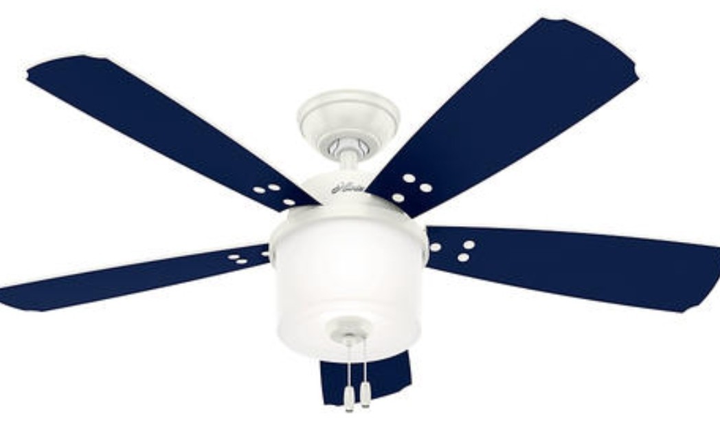 Blue Ceiling Fans For Boys Buy Arina High Speed Ceiling Fan Online In