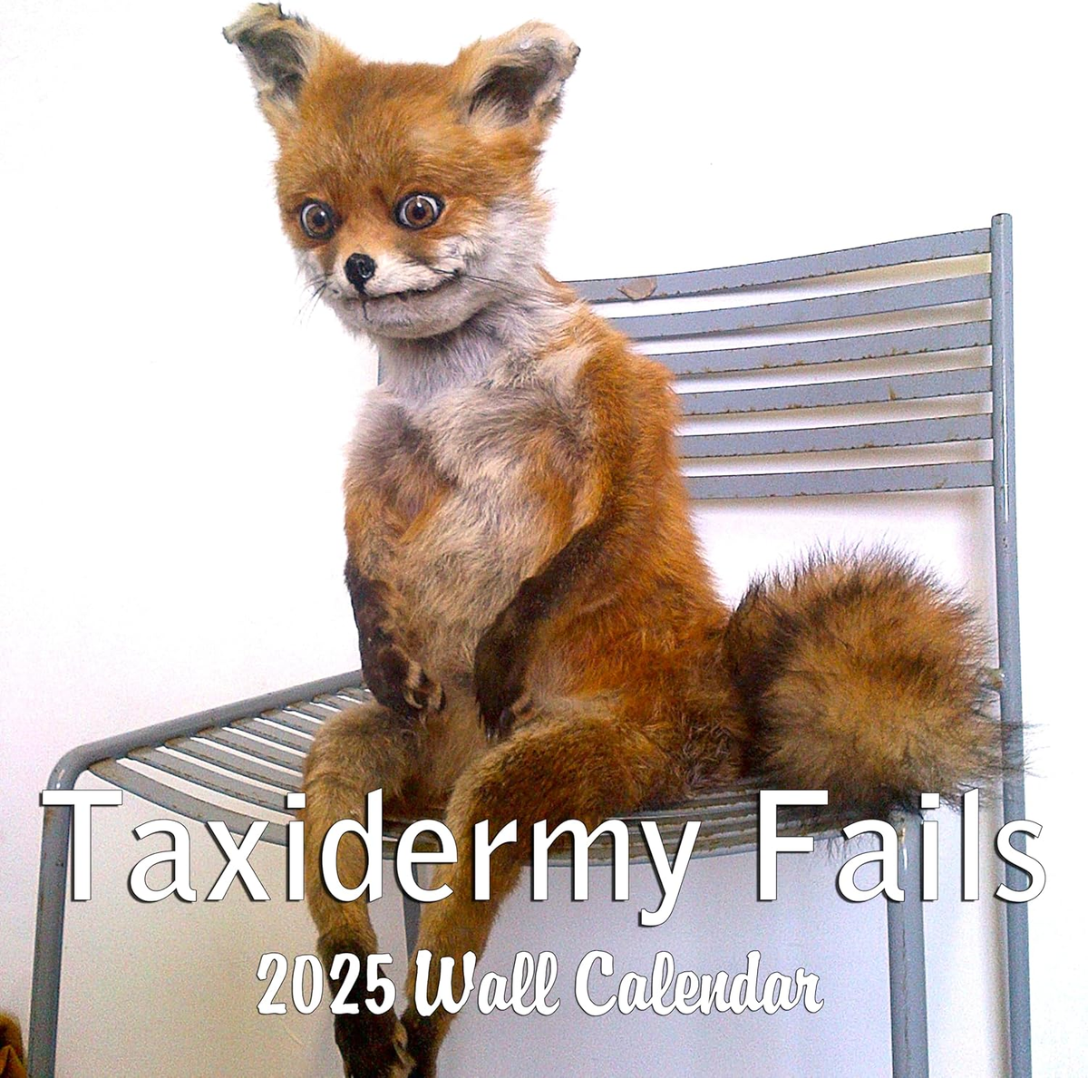 Taxidermist Memes