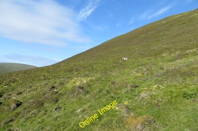 Photo 6x4 Slopes of Scrae Field Easter Quarff Steep heather above ...