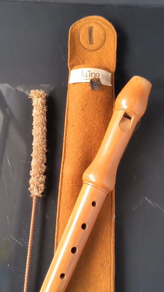KUNG Recorder Soprano 6L2 Swiss Made C” w/Cleaner and Soft Case Swiss ...