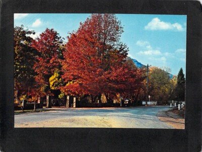 C7141 Australia V Bright Memorial Gates Autumn Time NCV vintage ...