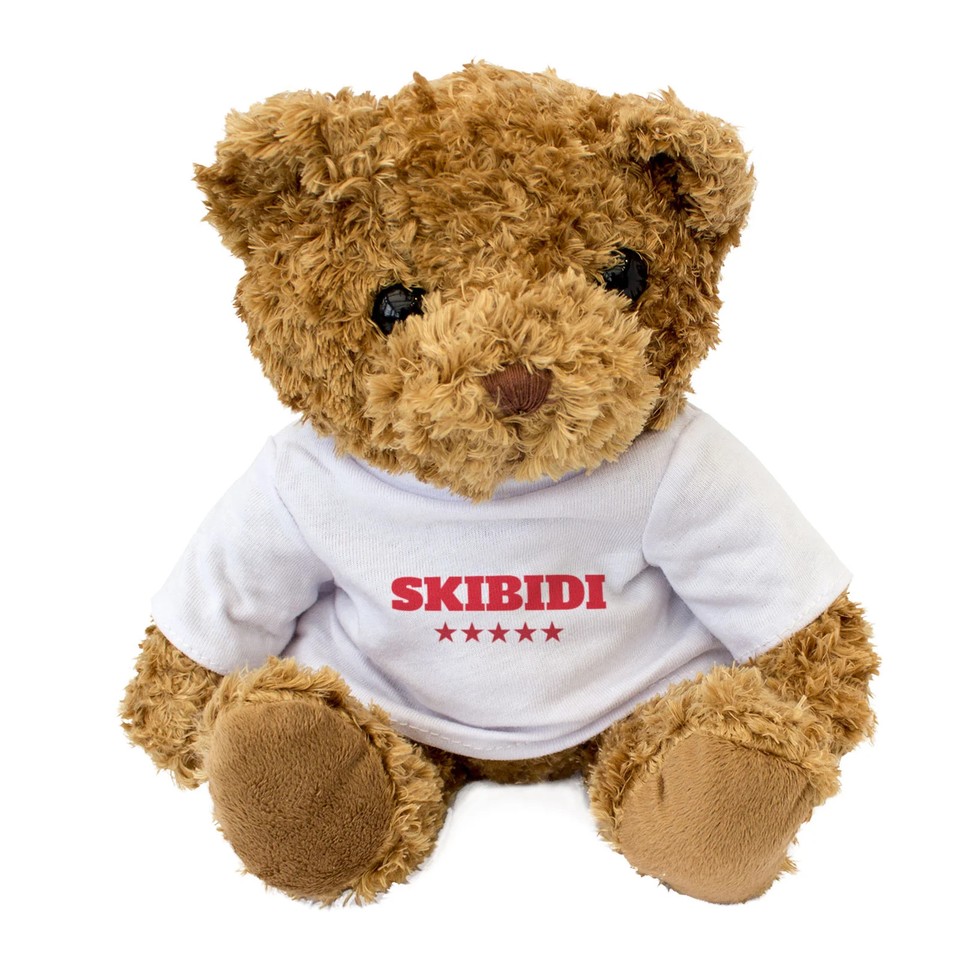 SKIBIDI - Teddy Bear - Cute Cuddly - Gen Z Gen Alpha Slang Funny Gift ...