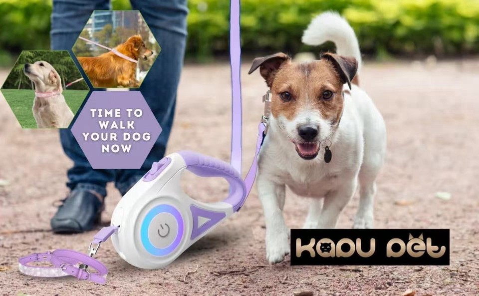 Dog Leash Retractable Leash And Dog Collar Spotlight Automatic Pet Dog ...