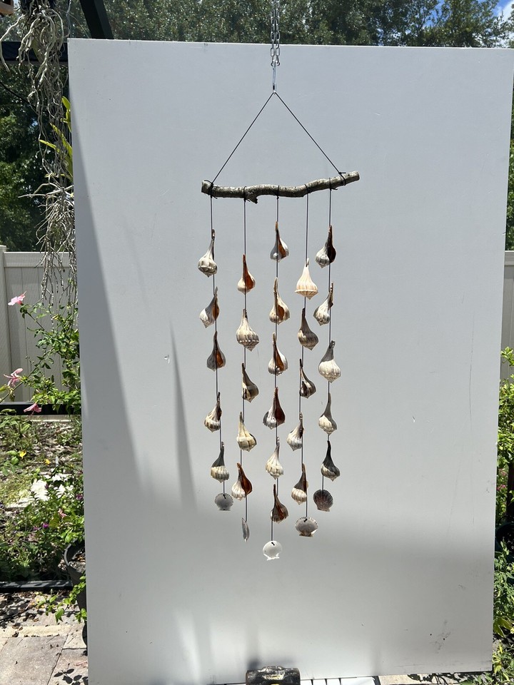 3.5" Lightning Whelk 5 String Sea Shell Wind chimes KIT Wall Patio ...