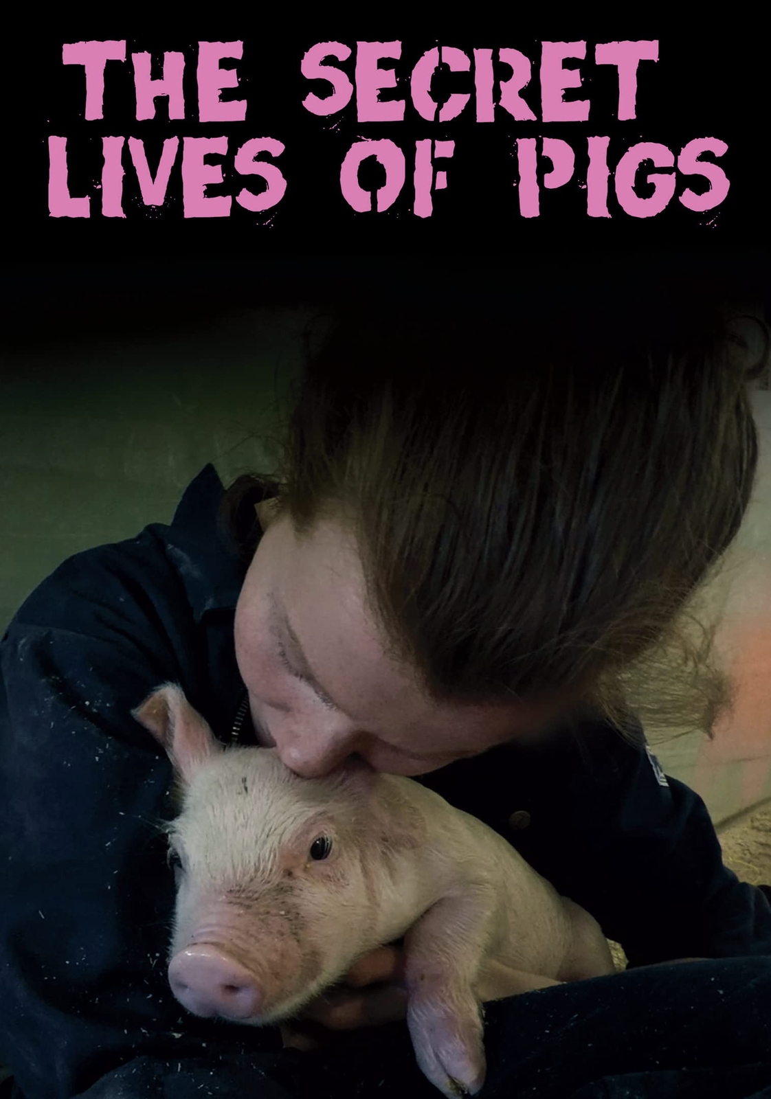 The Secret Lives of Pigs (DVD) for sale online | eBay