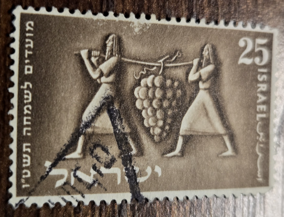 ISRAEL BROWN 1954 FESTIVAL PURPLE 1960 PROVISIONAL POSTAGE STAMPS | eBay