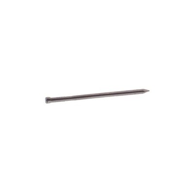 NAIL FNS BRT 6DX2 50# | eBay