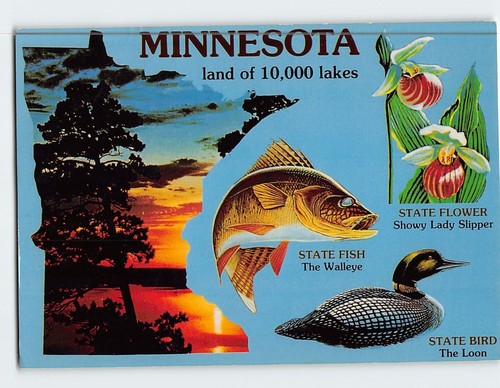 Postcard land of 10000 lakes Minnesota USA | eBay