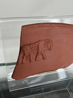 Roman - Ancient Roman Pottery Shard