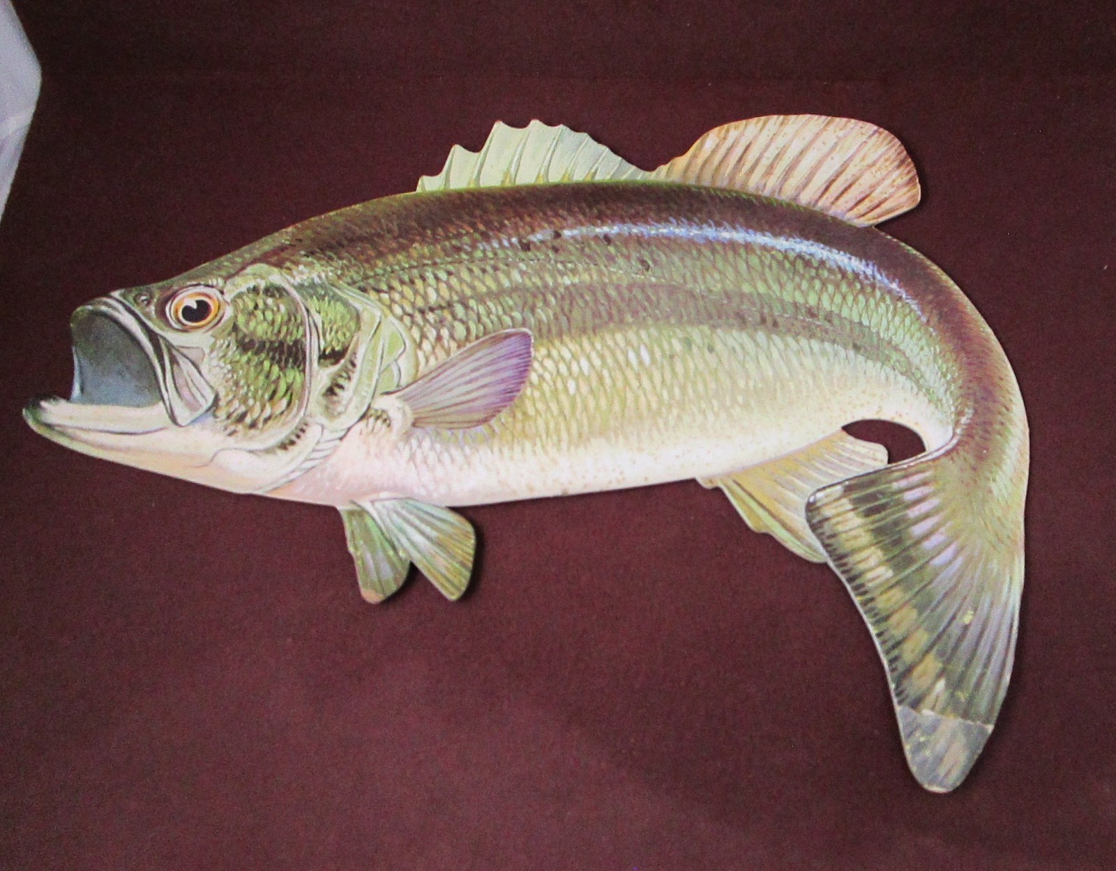 Vintage Winchester Fishing Lure Advertising Cardboard Bass Sign | eBay