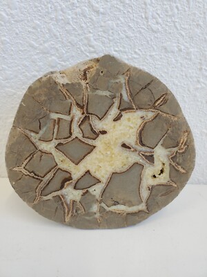 Septarian Nodule Slice Slab Stone Rock Mineral Specimen Yellow Crystals ...