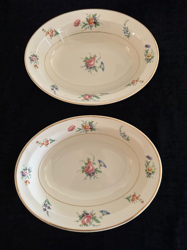 Beautiful Floral China Pattern ~ Syracuse Old Ivory Selma ~ 2 Serving ...