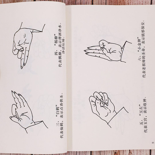 Taoist Tian Shifu Kung Fu Hand Tips Graphic Taoist Wushu Book - | eBay