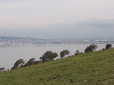 Photo 6x4 Windswept trees Clarence Park Windswept trees on Brean down ...