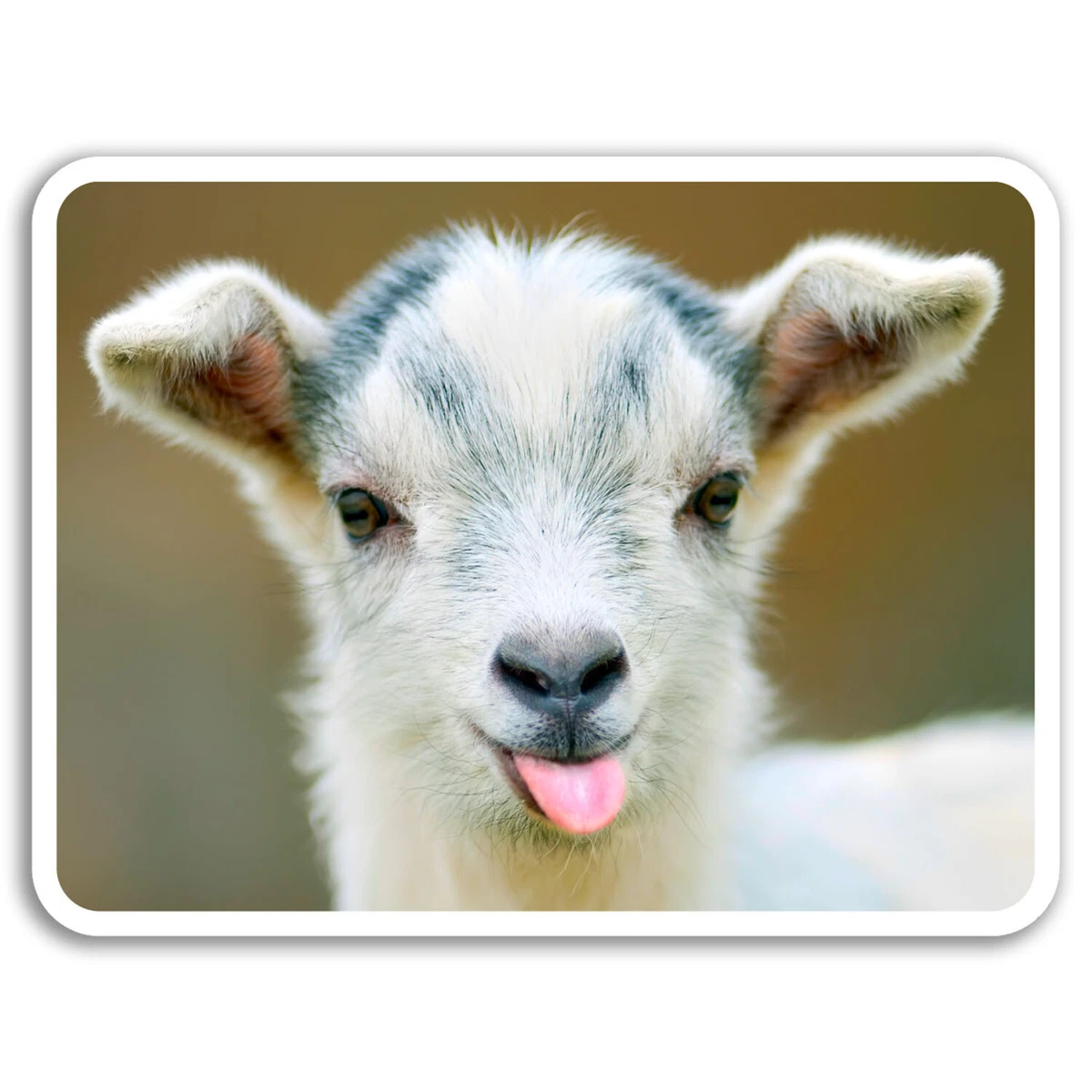 High Goat Meme