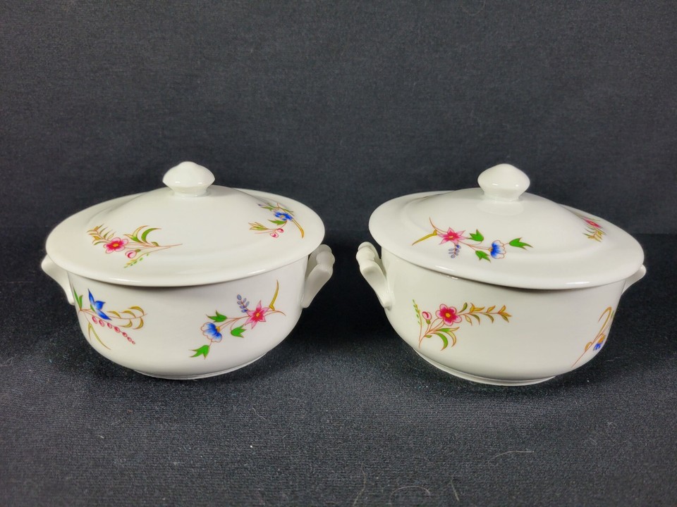2 Small Cordon Bleu BIA Apilco Frieda Handled Lidded Bowls, Baking ...