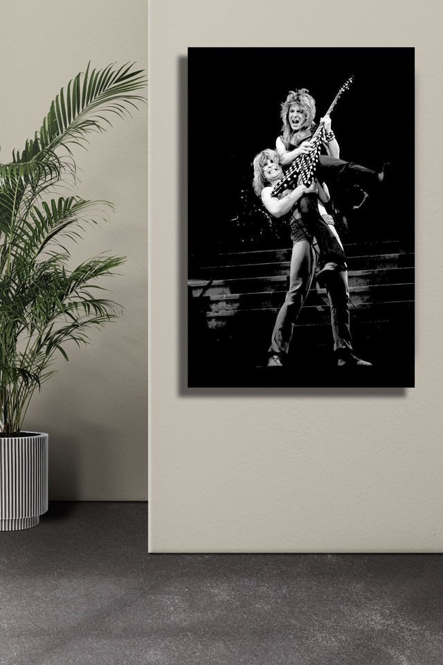 Randy Rhoads Poster 24x36 Inch Live Concert Photo Rare Wall Art Print ...
